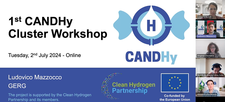 1st CANDHy Cluster Workshop - CANDHy